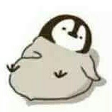 遗失的北极熊 