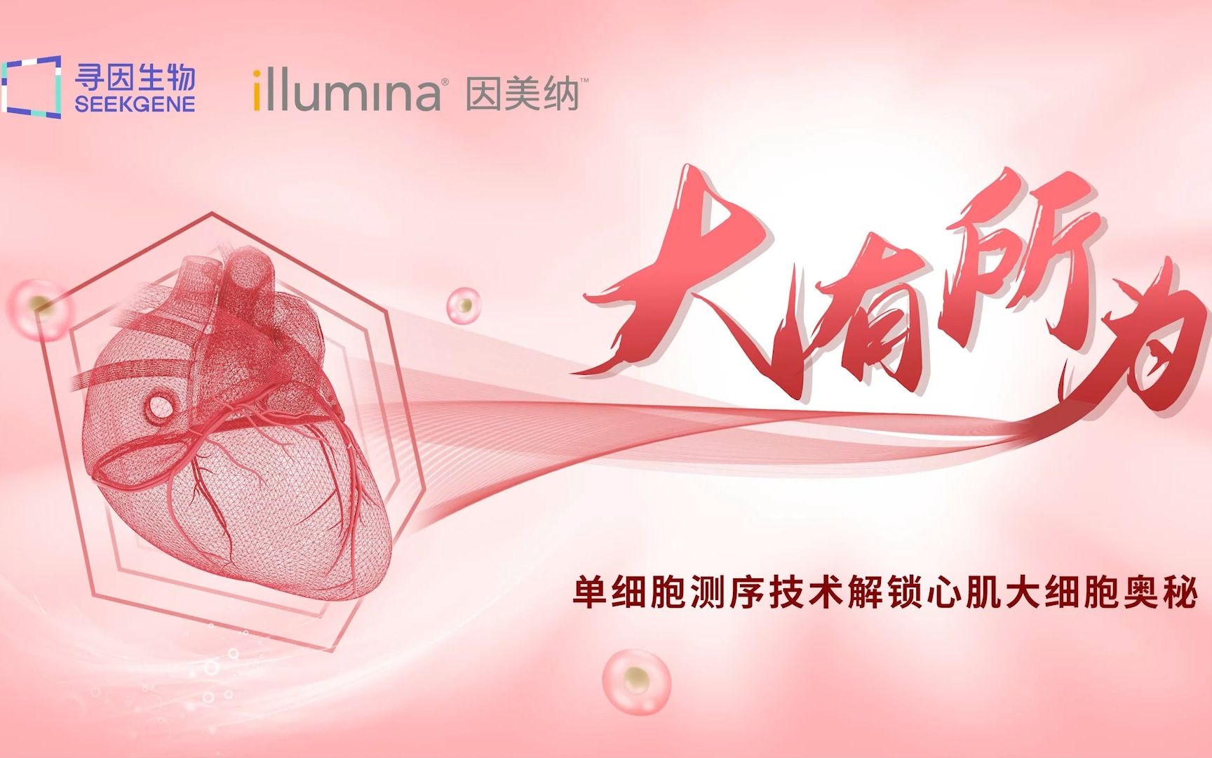 大有所为 | 单细胞技术解锁心肌细胞的奥秘