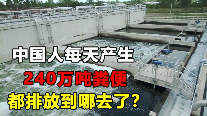 中国人每天产生240万吨粪便,都排放到哪去了,又是如何处理的?