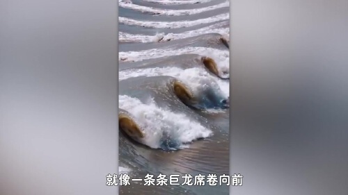 钱塘江的""是怎样形成的?探秘奇观,还是第一次见