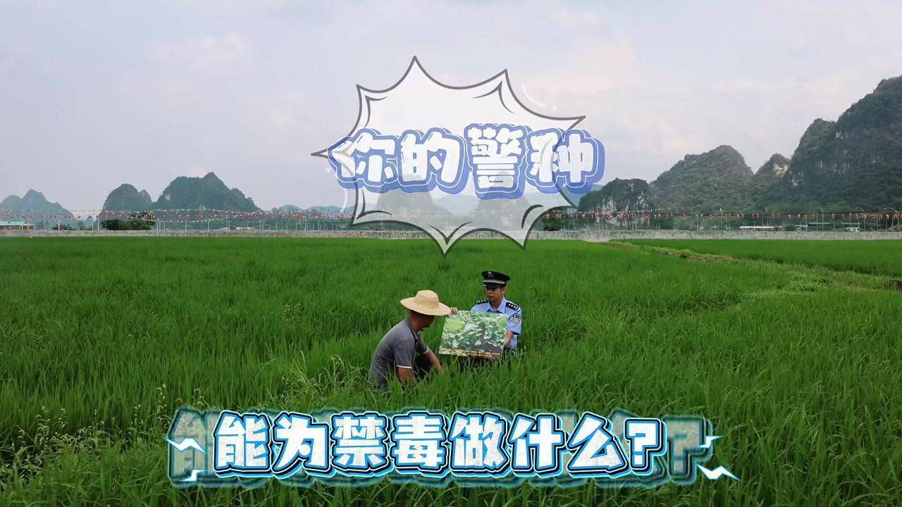 兴业县禁毒宣传视频《你的警种能为禁毒做什么?》--多警种联动,共筑...