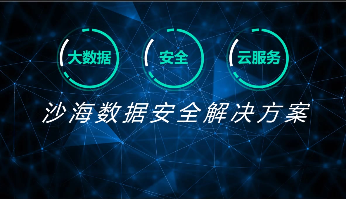 沙海数据安全解决方案