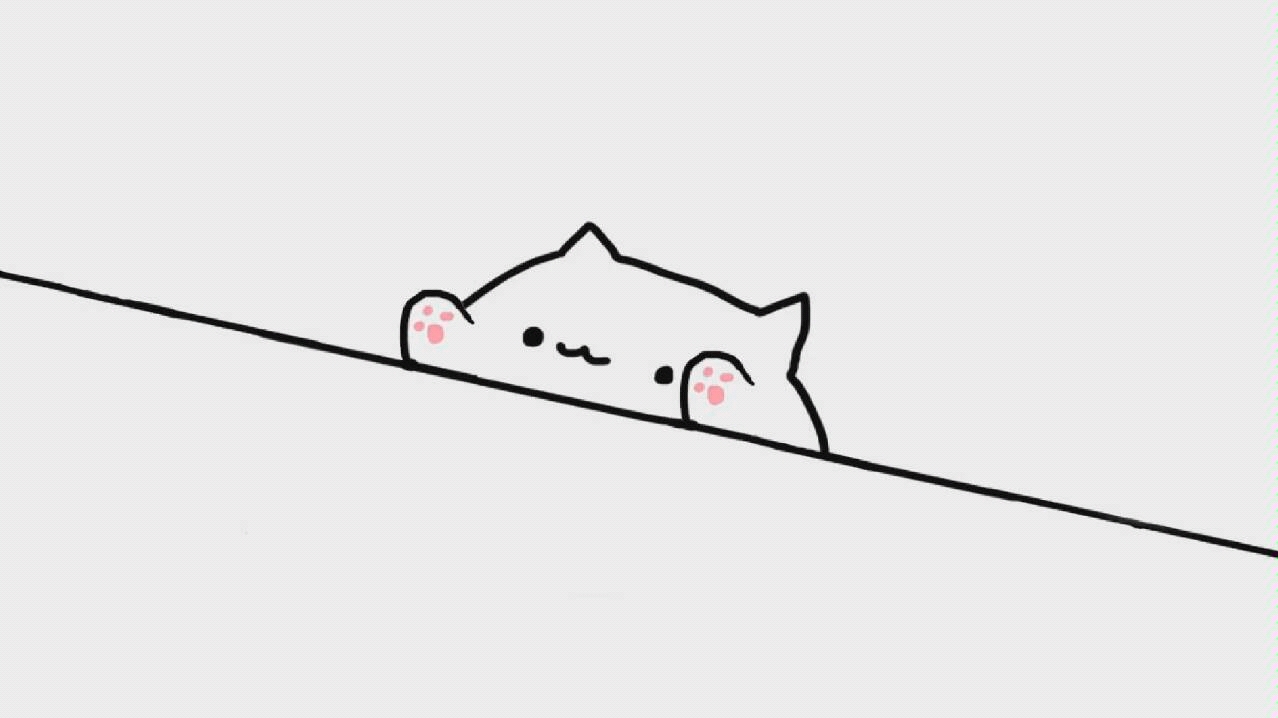 手鼓猫拍桌子拍出了believer