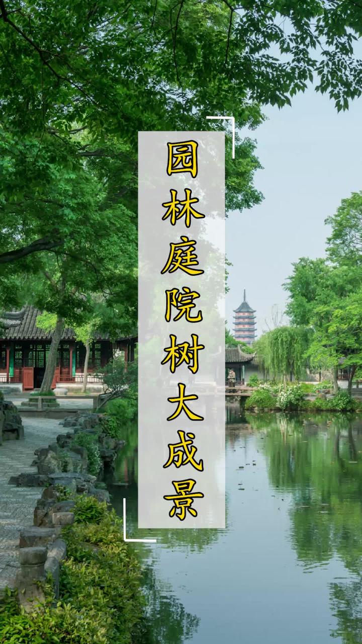 你一定想不到,大树,对园林的营造有这么大的作用。 #园林景观 #庭院...
