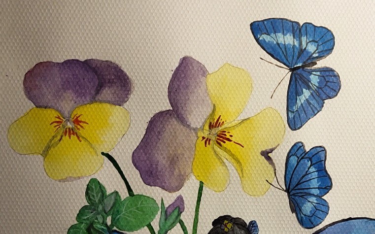 【水彩】【三色堇】用水粉纸画水彩,买错的水粉纸要用完:)(1)