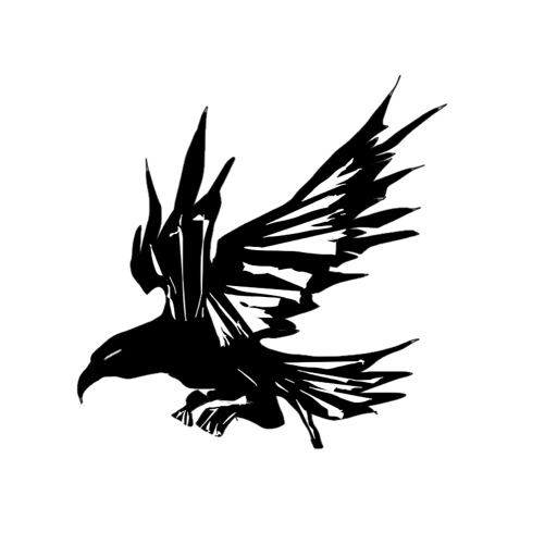 南昌航空大学洪鹰战队 