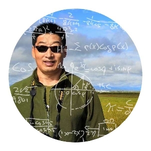 不挂高树B站 