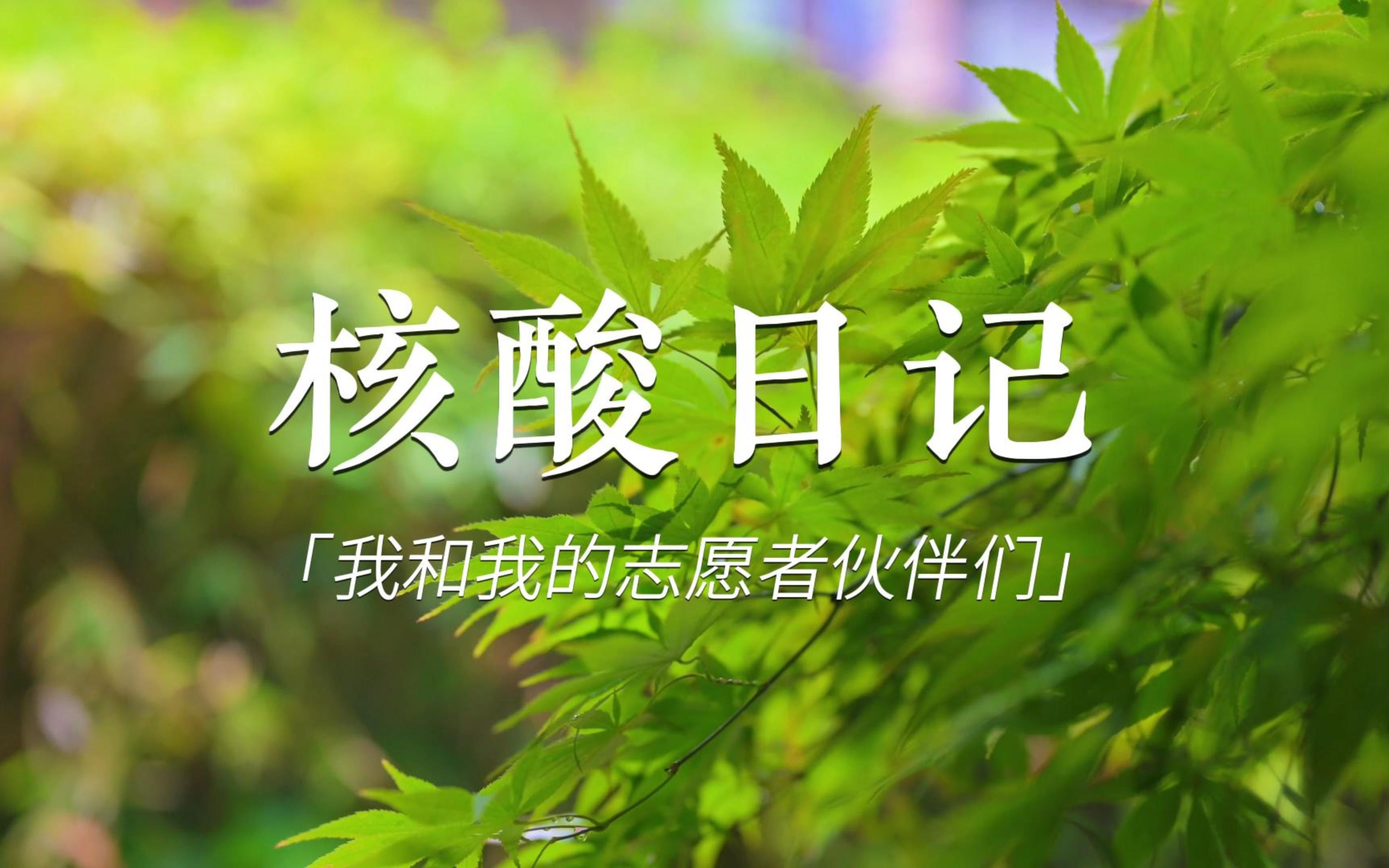共抗疫情之我的核酸日记,记录志愿者核酸检测过程