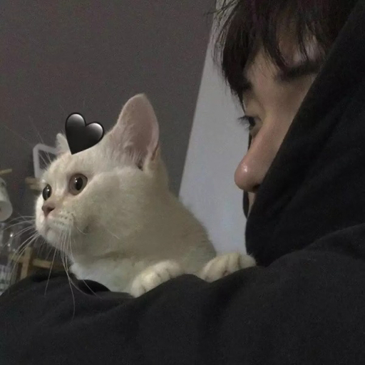 哦是小远啊 