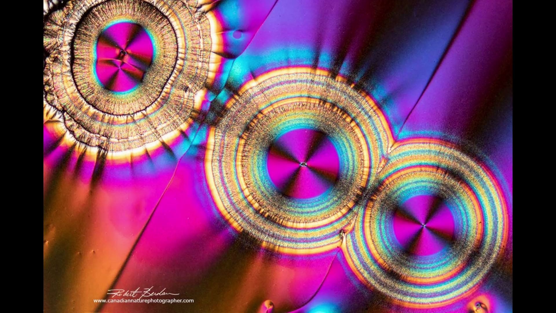 用偏光显微镜拍摄的晶体:水,啤酒,咖啡因,维生素。大家如需显微摄影...