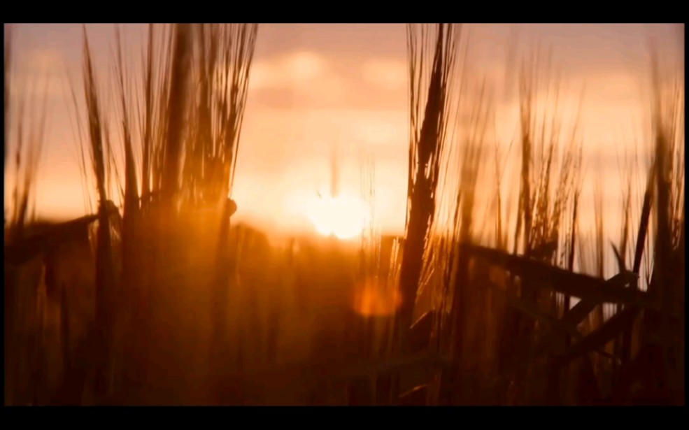 一个人到底爱不爱你真正爱你的人不是只是说说而已