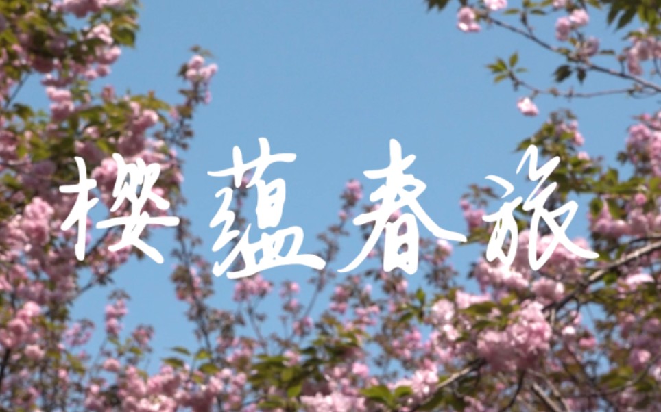 【樱蕴春旅】湖南科技大学自创樱花微电影来喽!一个人也可以记录...
