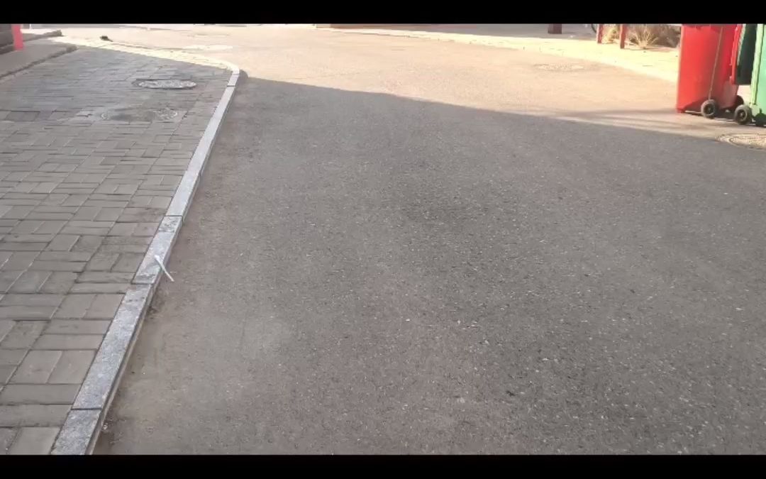 新的10条颁布后的世界