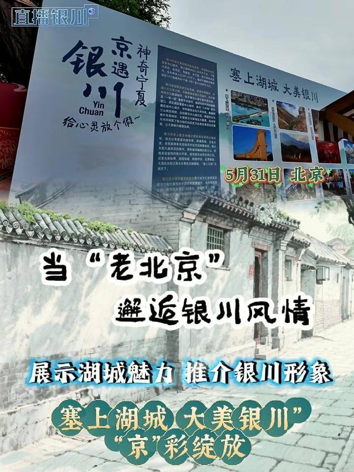 ...“神奇宁夏京遇银川”特色展销暨城市品牌推介活动在北京模式口历...