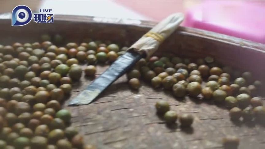 潮州“芡实”熟了!一起来尝芡实甜汤咯