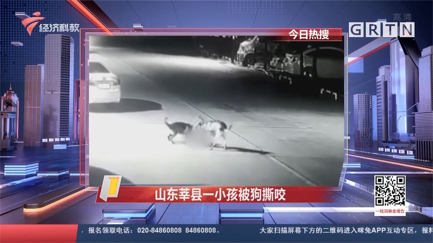 揪心!山东莘县一小孩被狗撕咬 场面十分凶险