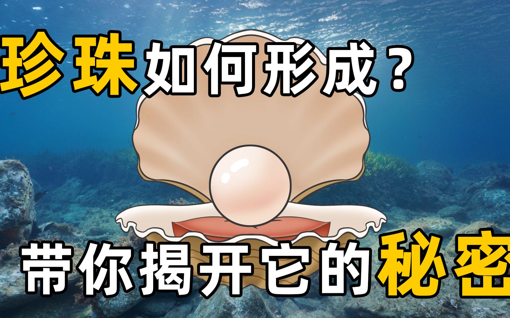 【珠宝科普】珍 珠 是 怎 么 “炼” 成 的?