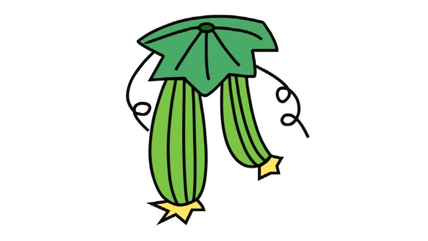 蔬菜丝瓜简笔画画法步骤教程儿童宝宝幼儿学画蔬菜丝瓜简笔画大全
