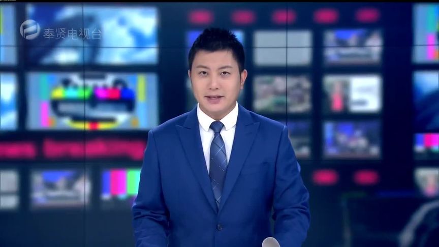 奉贤区盘活有效资源 推动产业转型升级经济提质增效