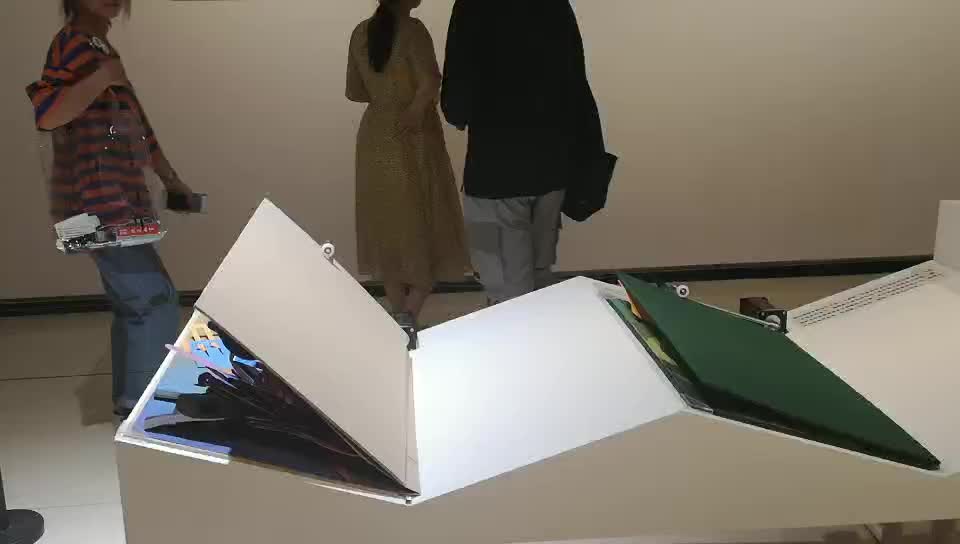立体书上的感人亲情(央美本科生毕业作品展)