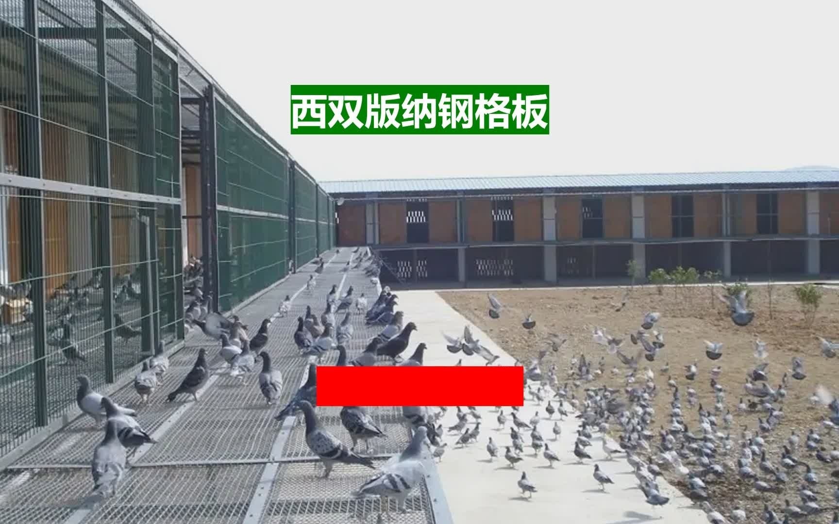 西双版纳钢格板