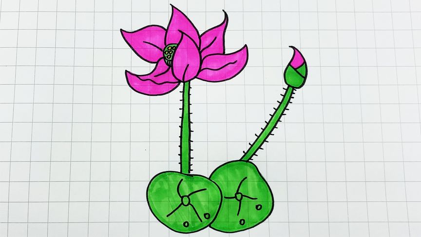 荷花简笔画,简单易学,快来试试吧!