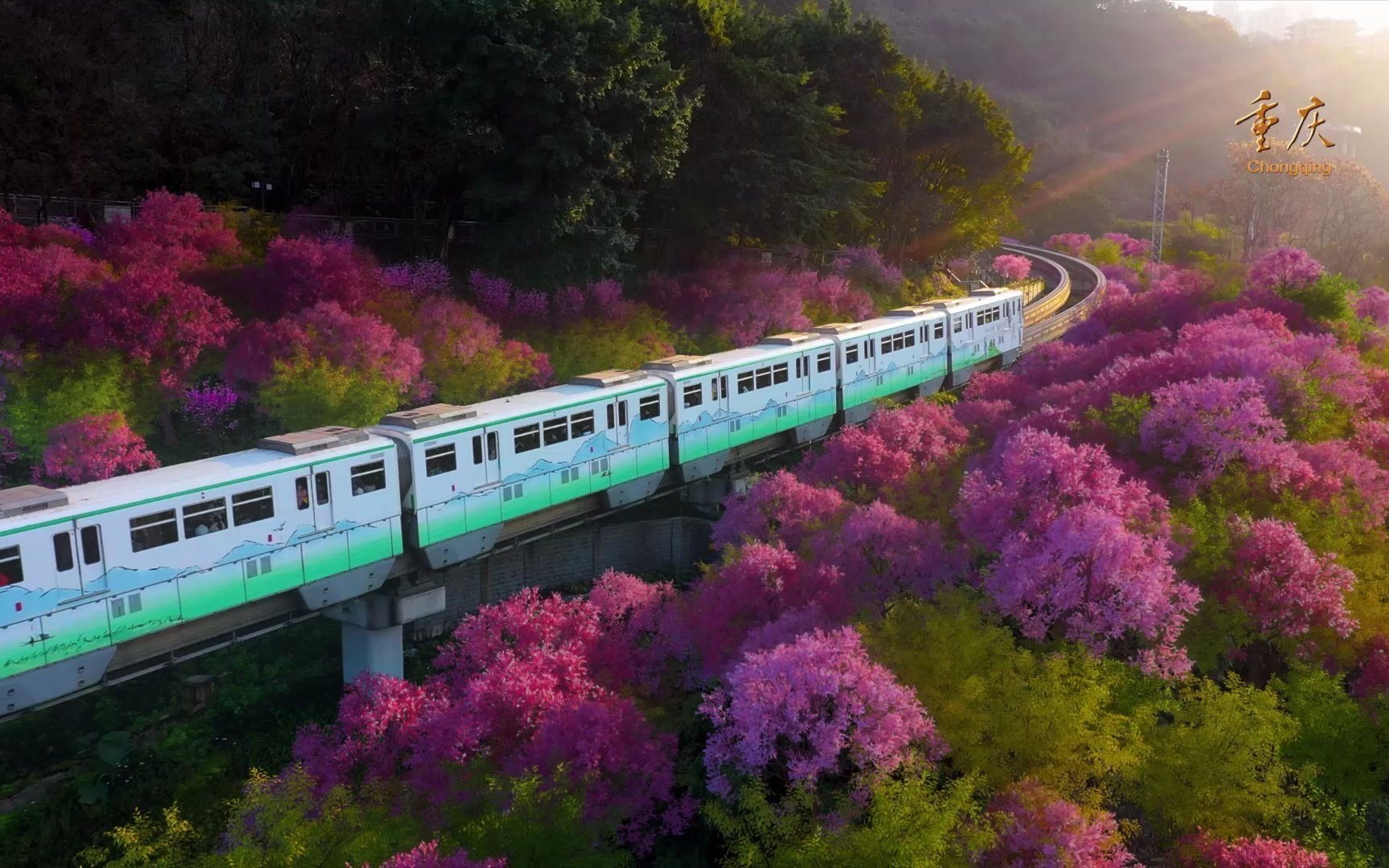 2021重庆形象宣传片震撼上线,山水之城,美丽之地——重庆!为家乡打call