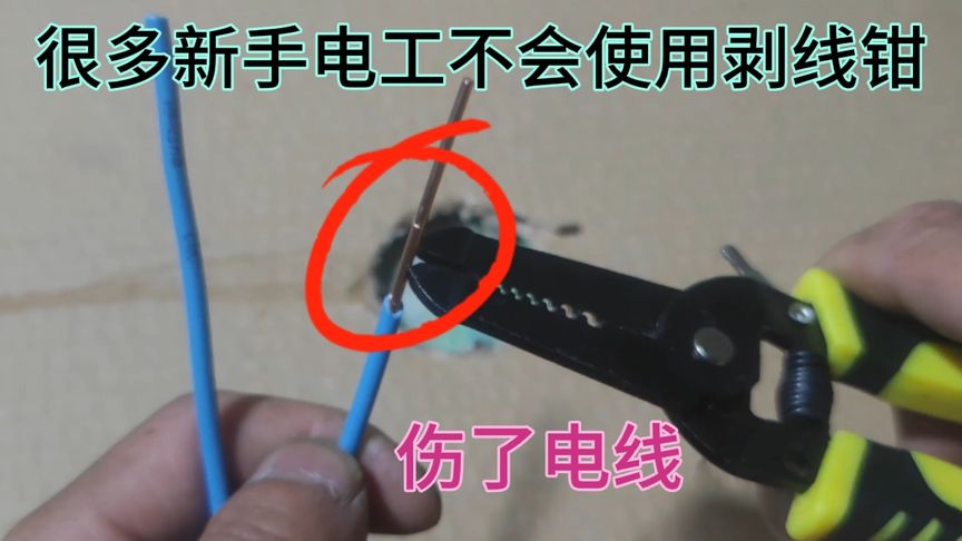 很多新手电工不会使用剥线钳,夹伤电线容易扭断,教你正确方法