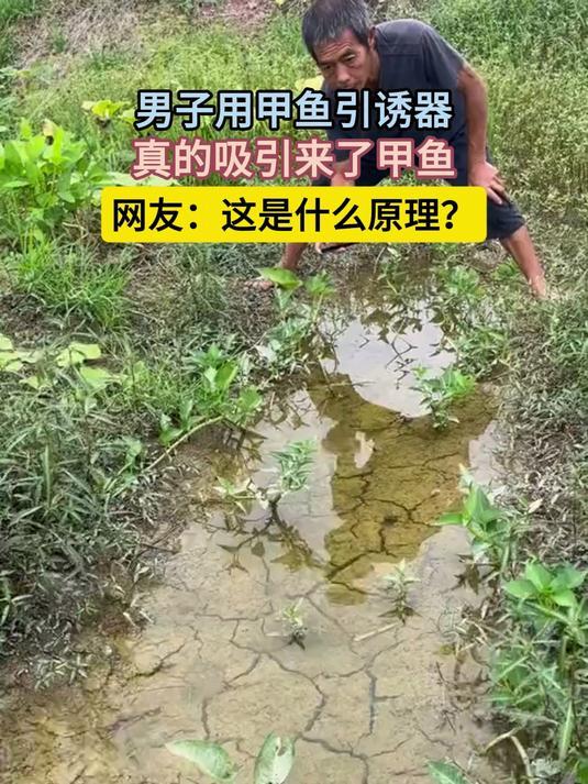 男子用甲鱼引诱器,真的吸引来了甲鱼,网友:这是什么原理?