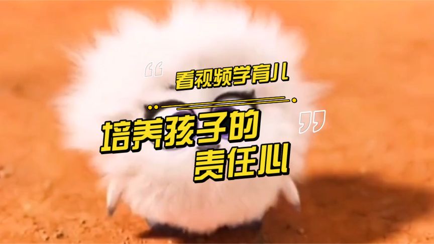 培养孩子的责任心#育儿#家庭教育