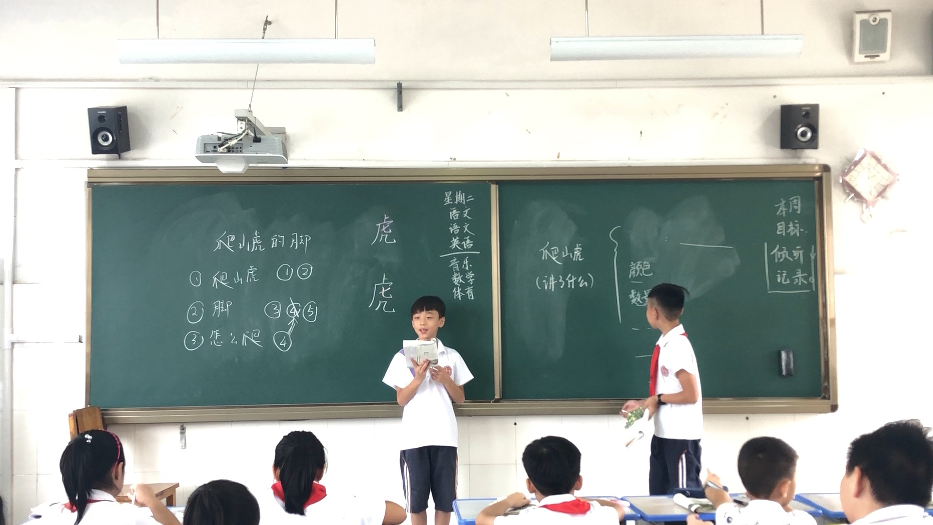 爬山虎的脚 分享4