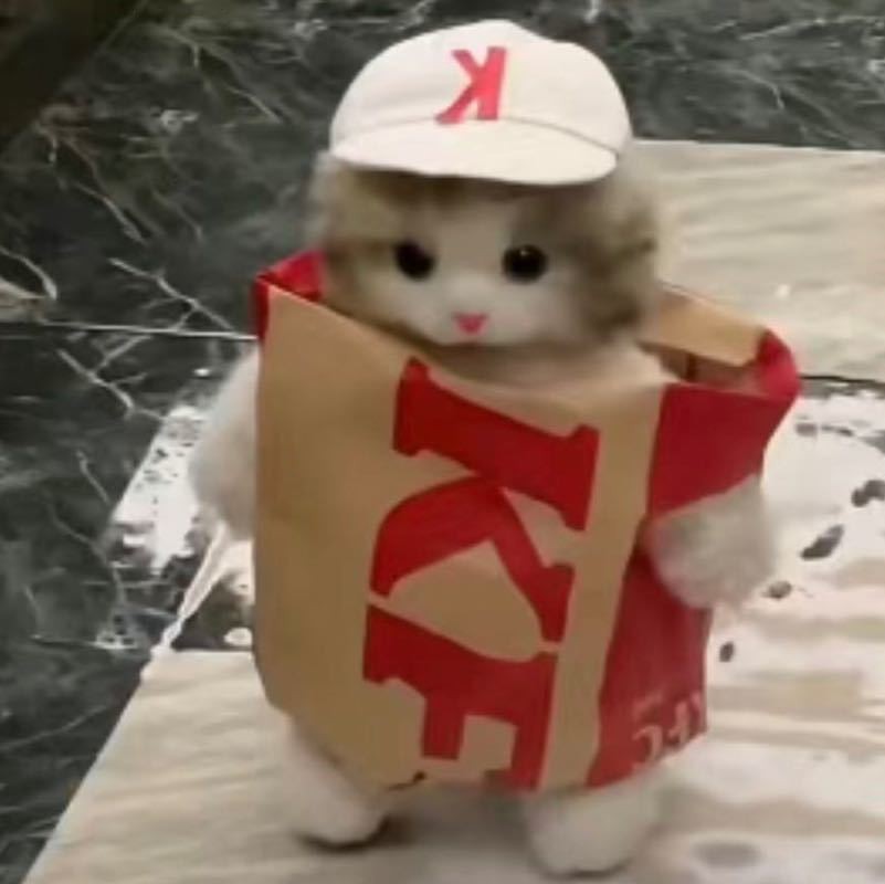 陶亦酱 