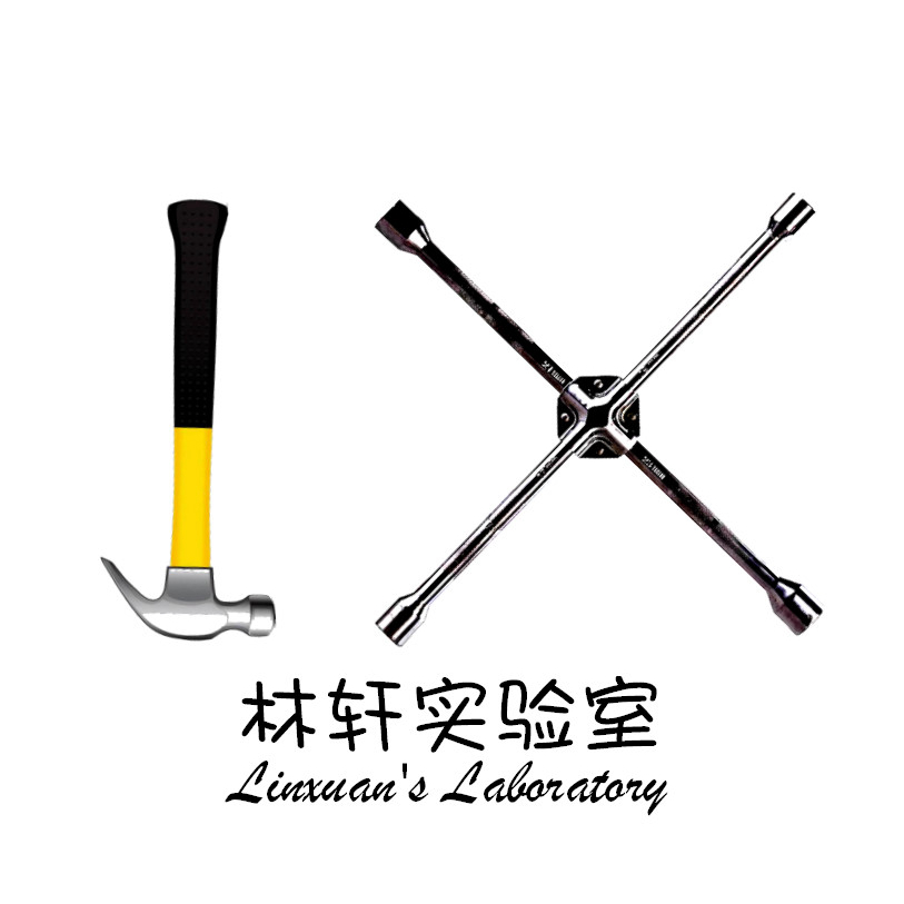 林轩实验室 