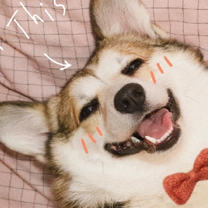 我叫焦馨yue 