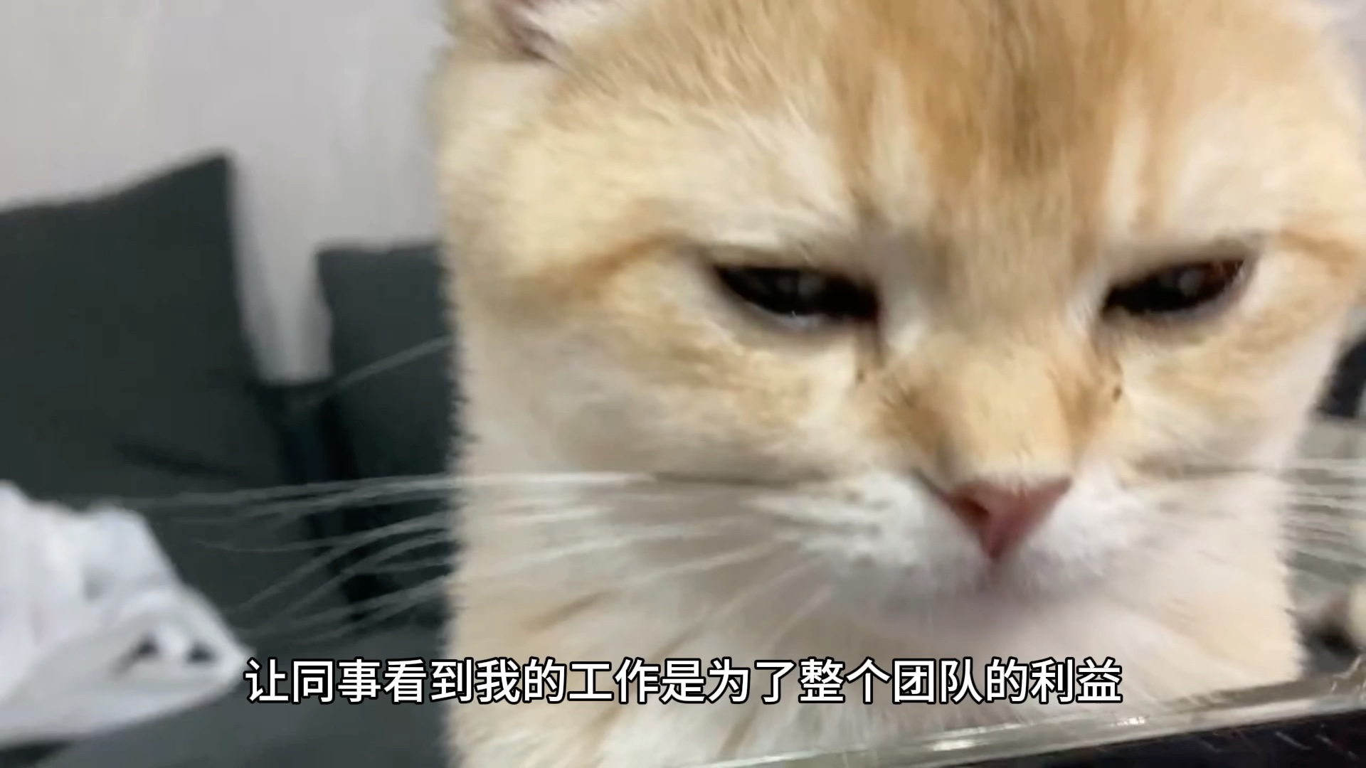 2023年7月9日遵义播州区医疗岗事业单位面试