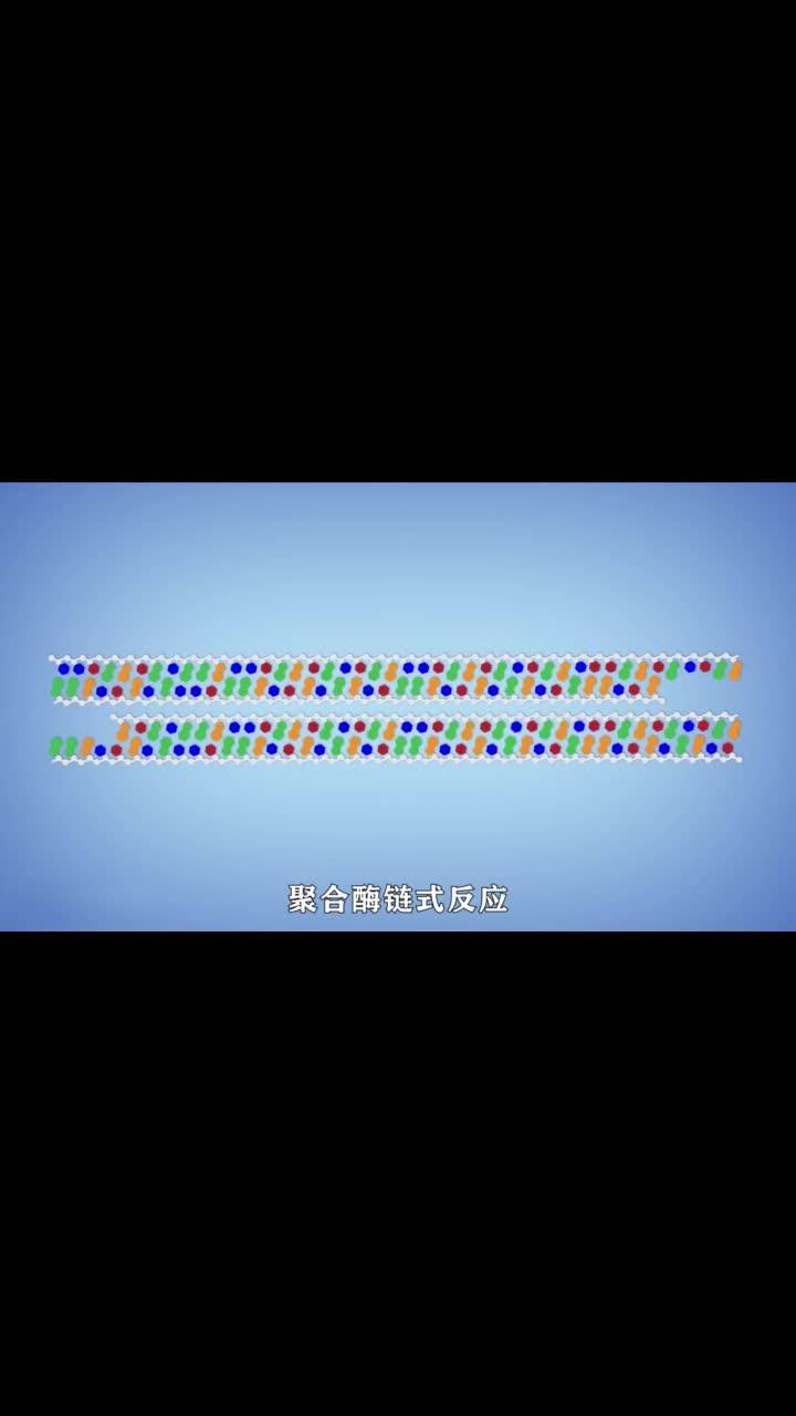 逆转录PCR #核酸检测原理