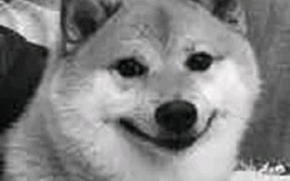 舔狗DICSO(解神者版)(改词翻唱)