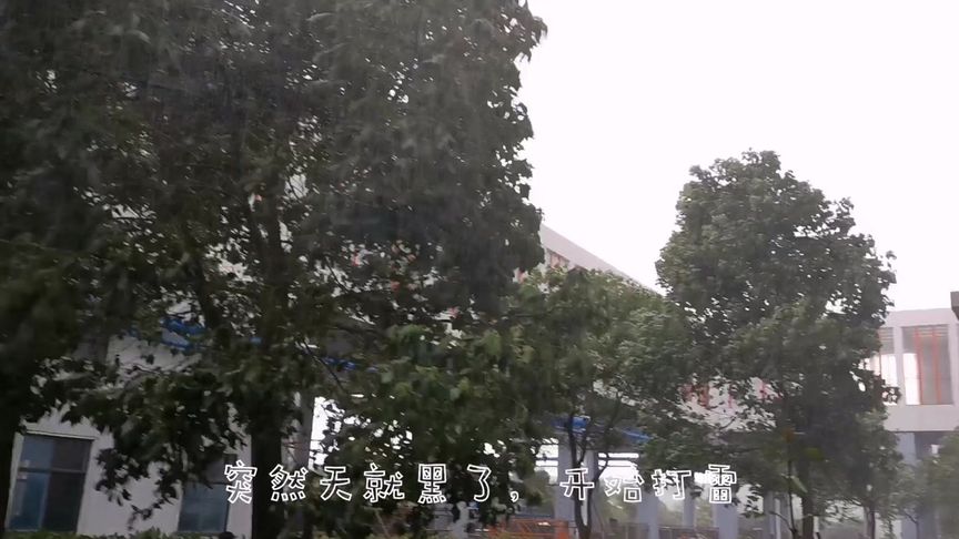 上海的天空突然黑如夜晚,狂风暴雨电闪雷鸣,台风真的来了