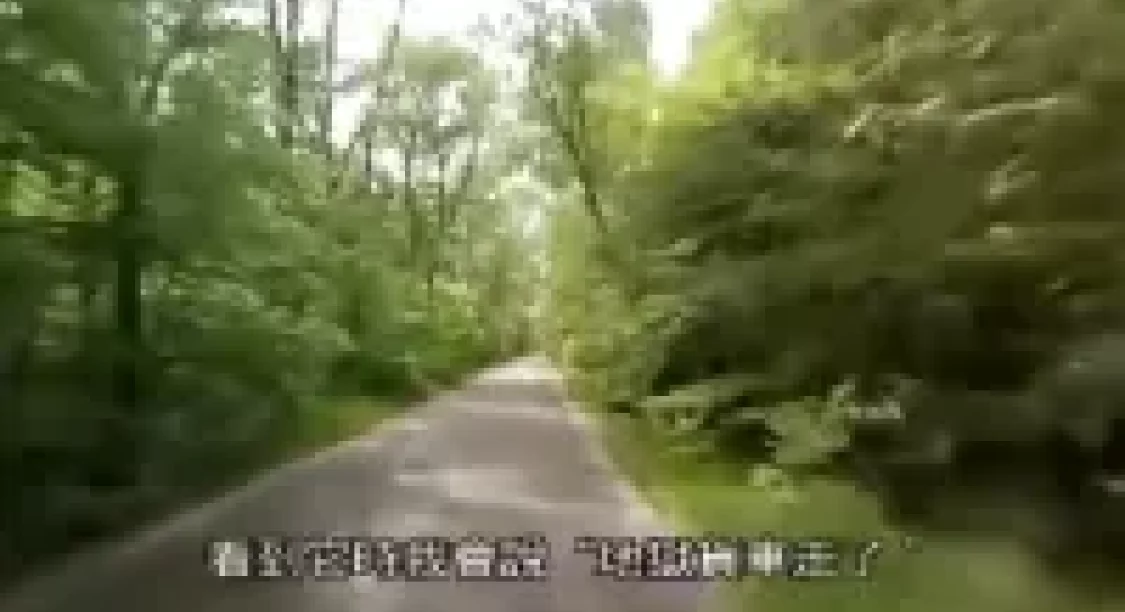 第二次世界大战历史全记录 14