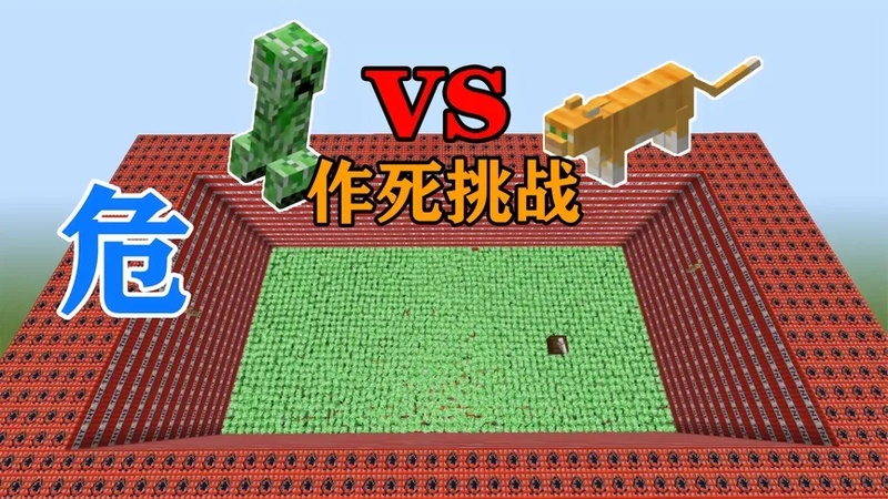 MC作死挑战!一万只苦力怕VS一只猫,你能跟着猫生存30秒吗