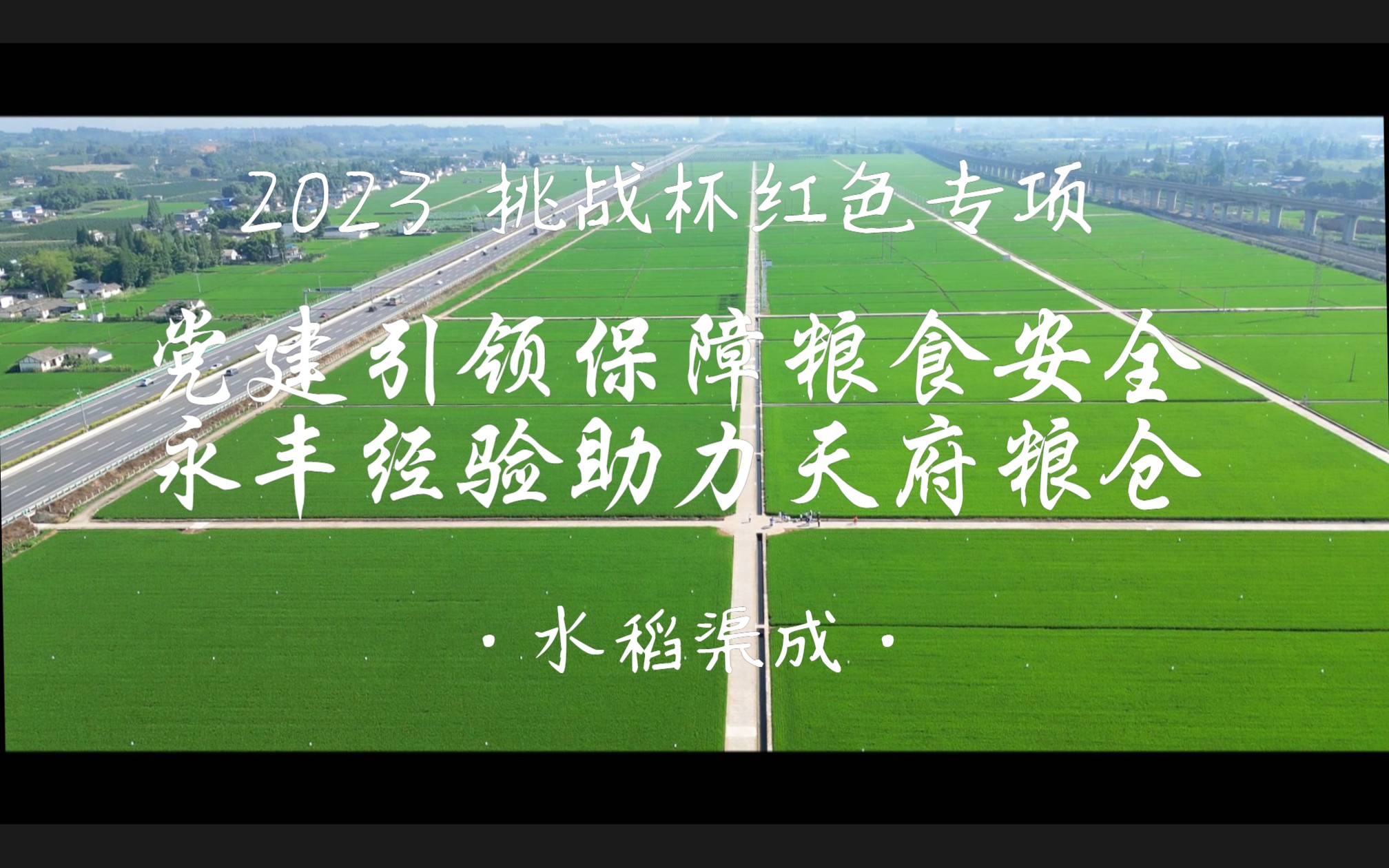 第十八届挑战杯红色专项四川省省级二等奖作品丨“党建引领保障粮食...