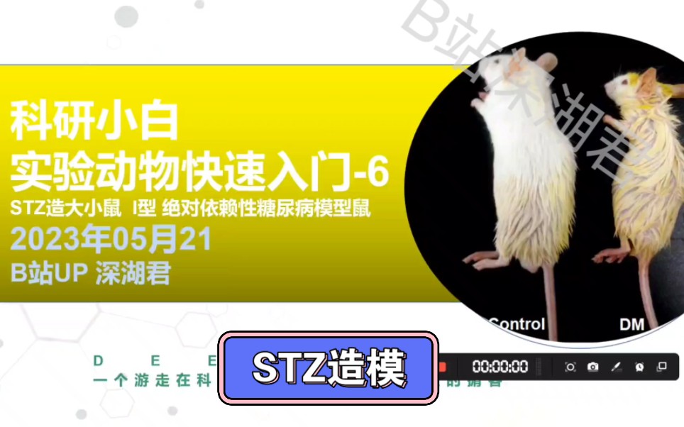 科研小白入门系列6-STZ(链脲佐菌素)法构建 大/小鼠 糖尿病模型心得...