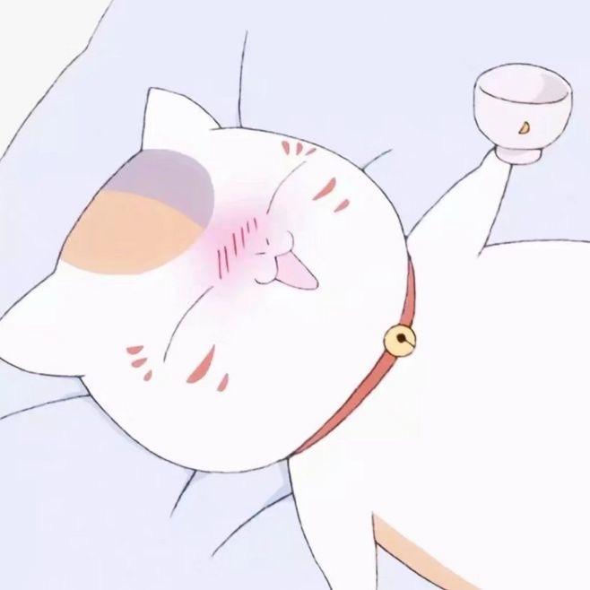 极乐芸硕