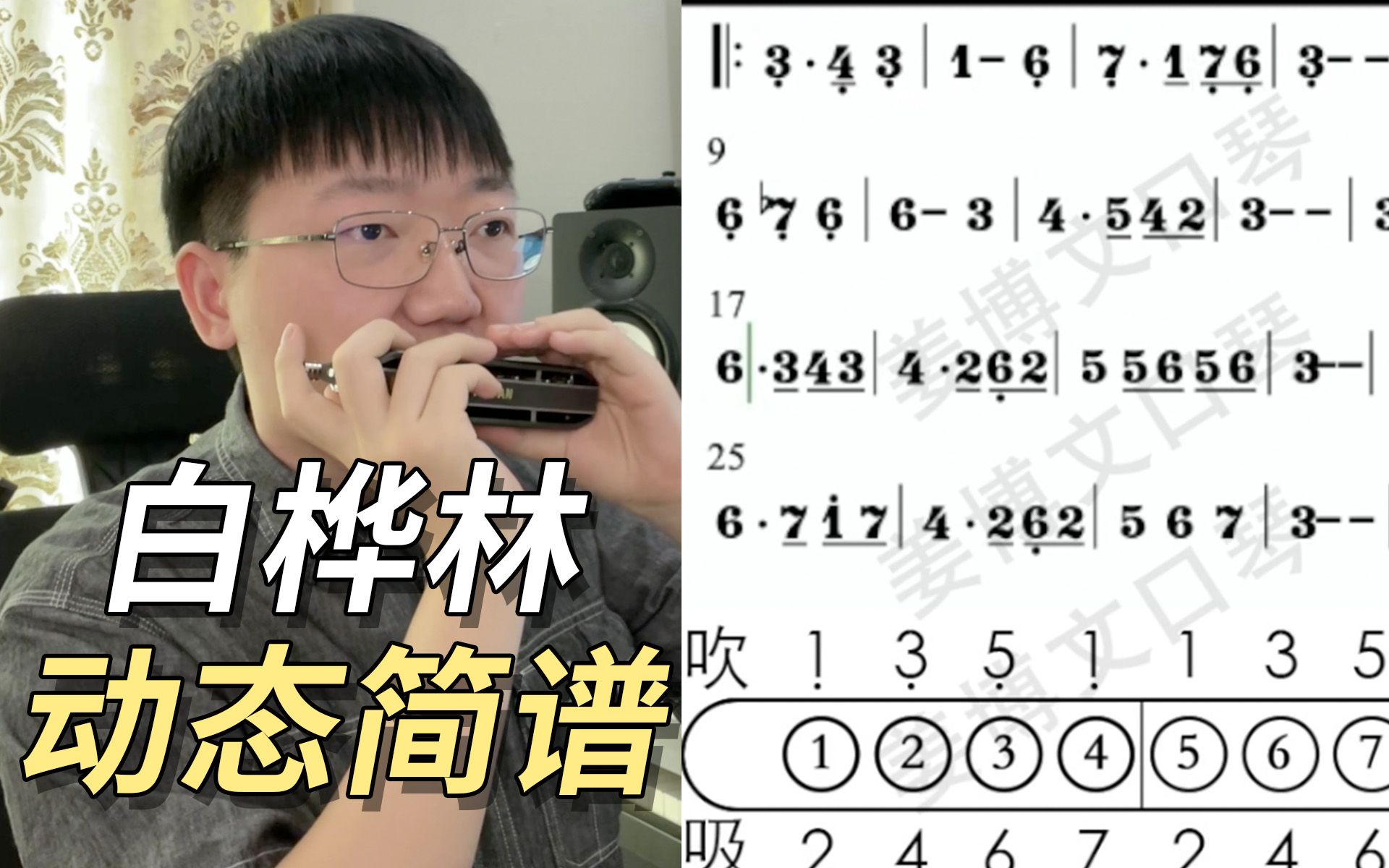 【口琴动态简谱】白桦林 朴树经典音乐 姜博文口琴