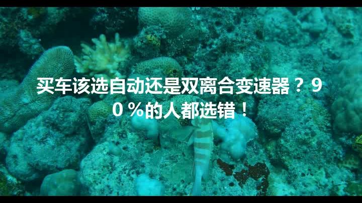 买车该选自动还是双离合变速器?90%的人都选错!.mp4