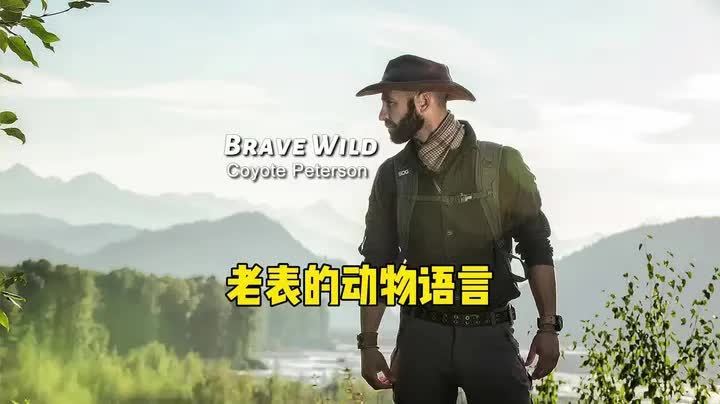 老表已经熟练掌握动物语言