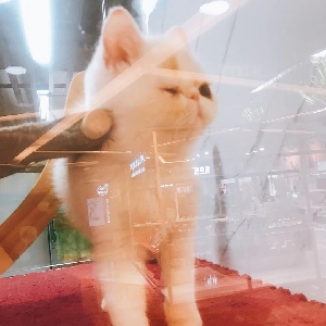 我想要完成我想完成的 