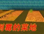 迷你世界小乾家的妮妮 第16集 妮妮可算是有菜地了,因祸得福,种子反而...