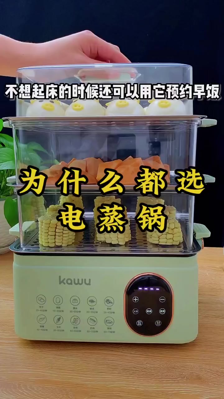多功能电蒸锅 找了半个月,终于找到一款好用,性价比又高的电蒸锅,品质...