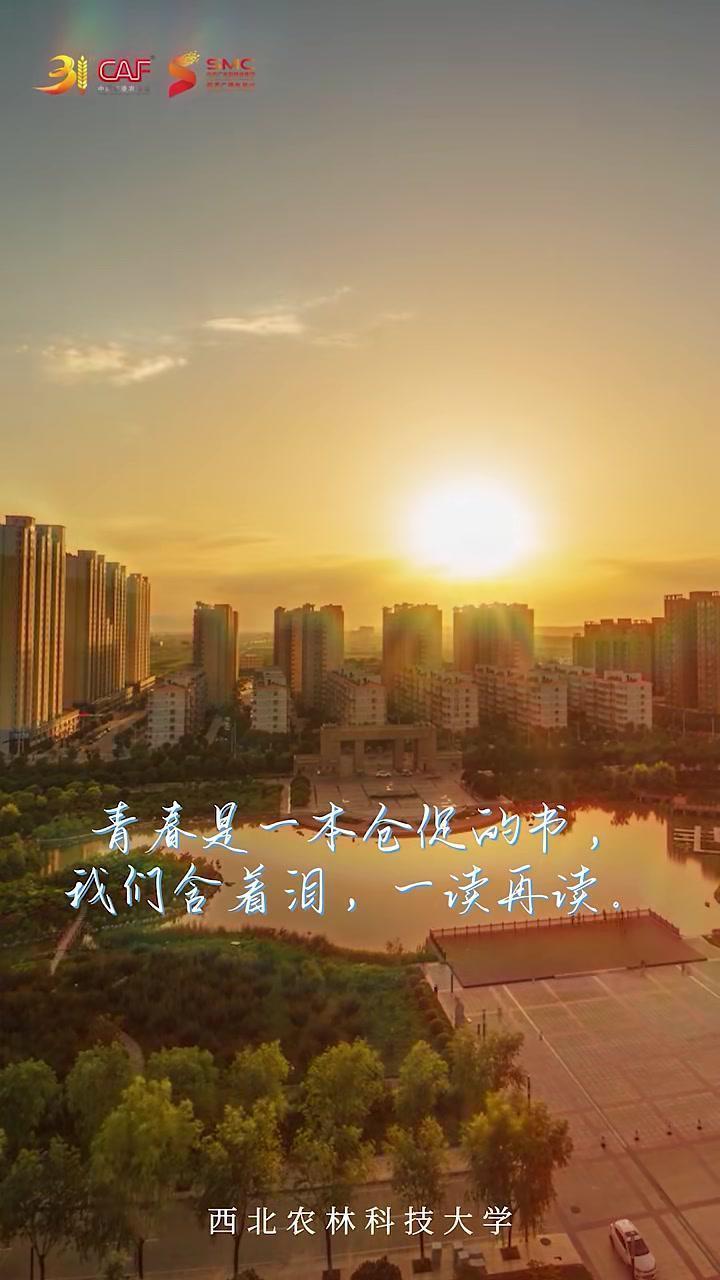 当西农学子把青春献给科研,也献给了杨凌这座小城,这便是无数西农...